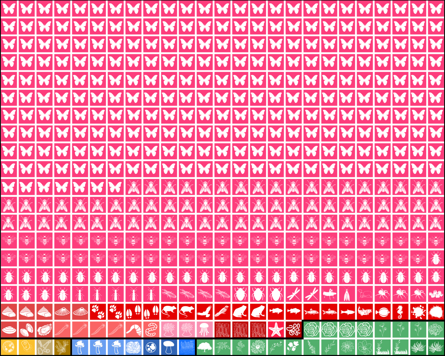 DToL in 2022: First 500 genome assemblies as project creates a buzz ...