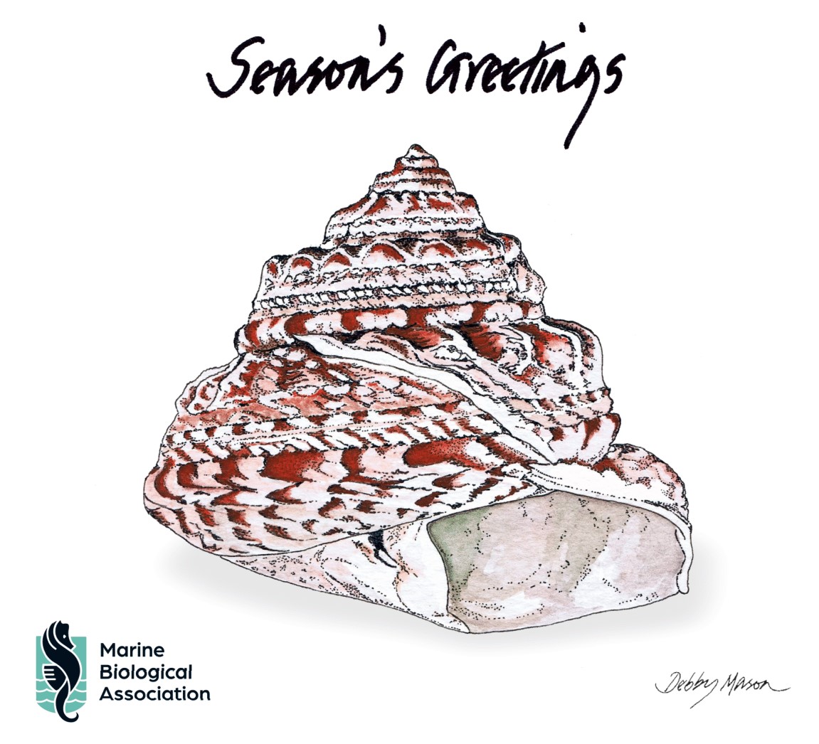 DToL in 2022: First 500 genome assemblies as project creates a buzz ...