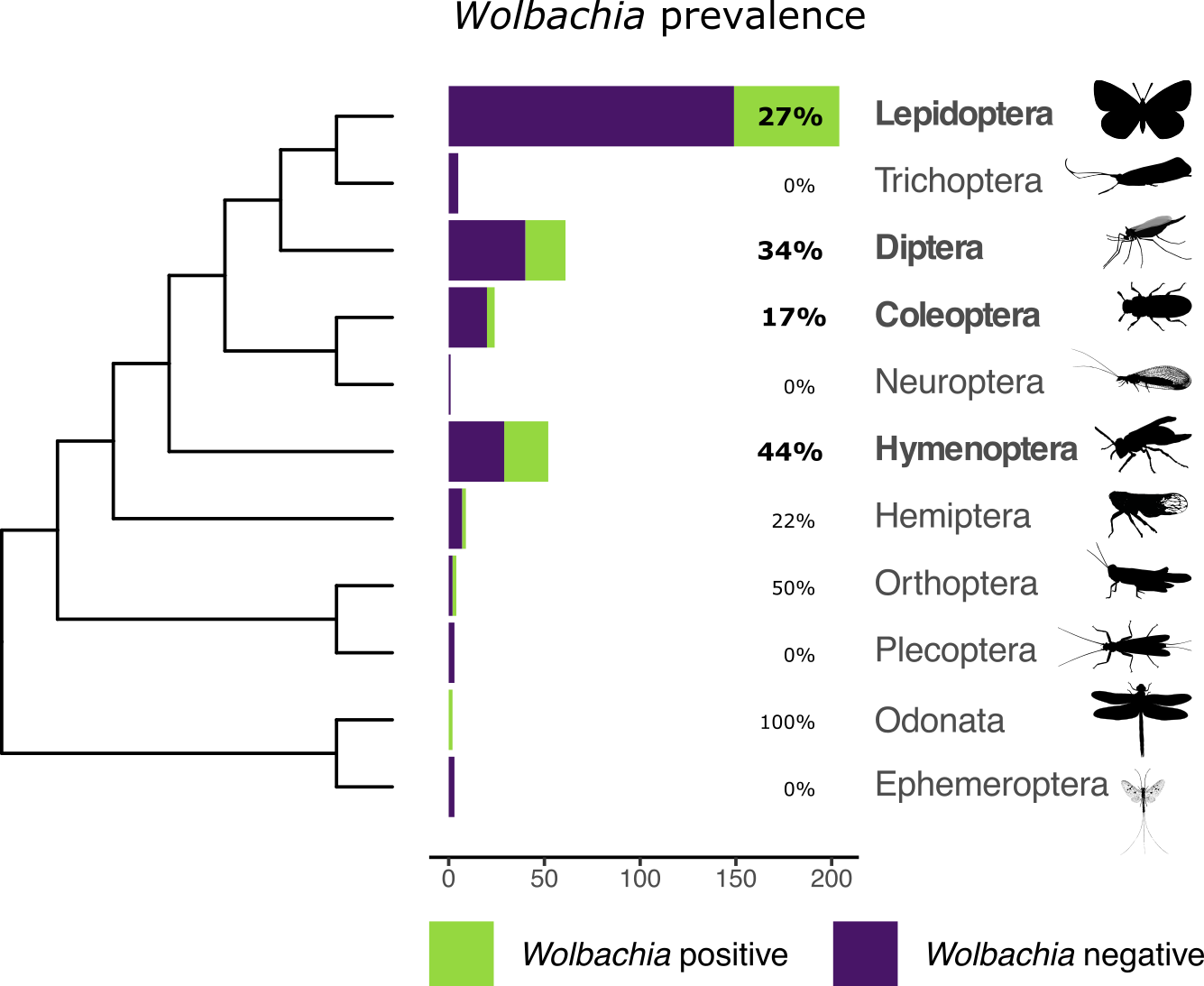Life inside life: Understanding the ‘pandemic’ infecting nearly half of ...