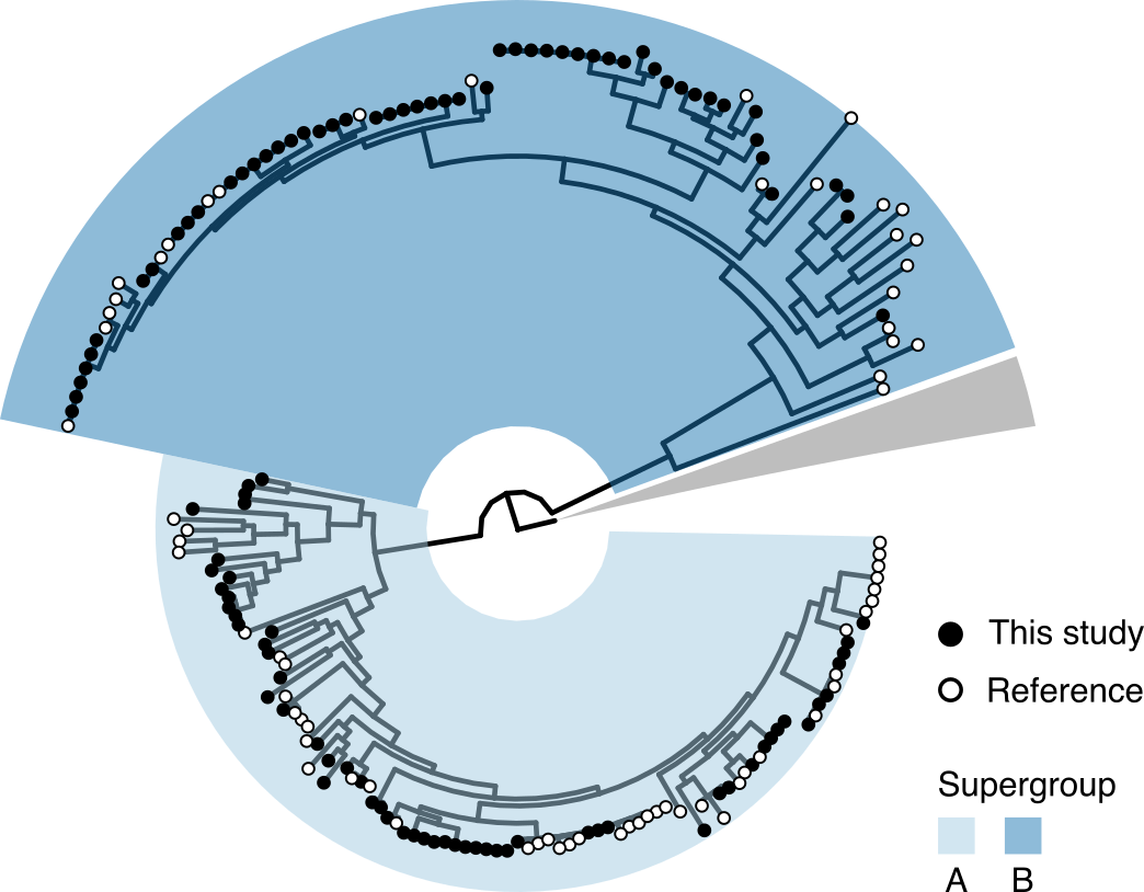 Life inside life: Understanding the ‘pandemic’ infecting nearly half of ...