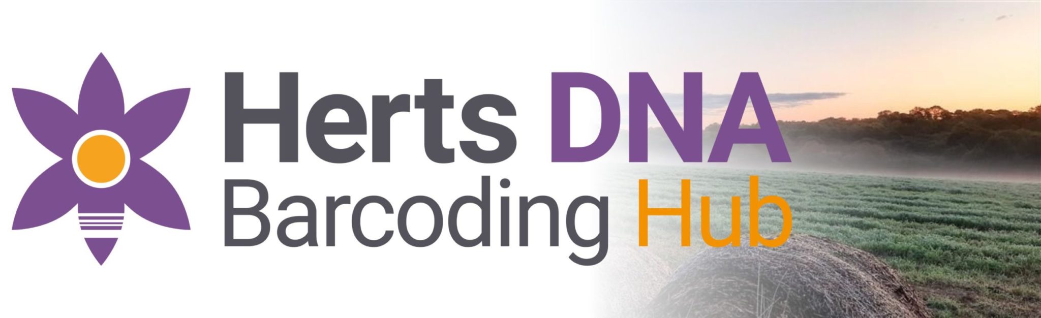 Herts DNA Barcoding Hub – Darwin Tree of Life
