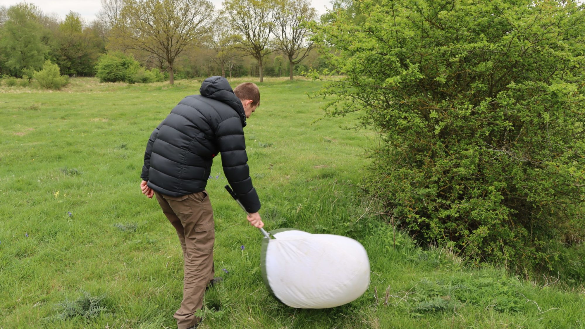 Wytham Woods: A bug hunt to transform biology – Darwin Tree of Life
